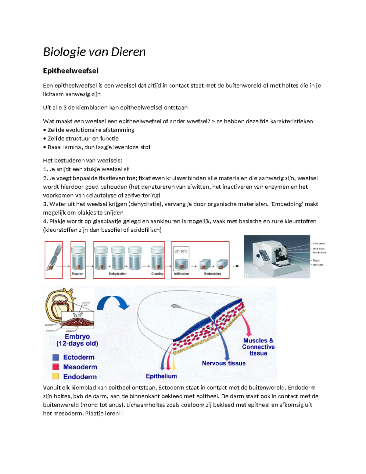 Biologie van Dieren deel 1 - Biologie van Dieren Epitheelweefsel Een ...
