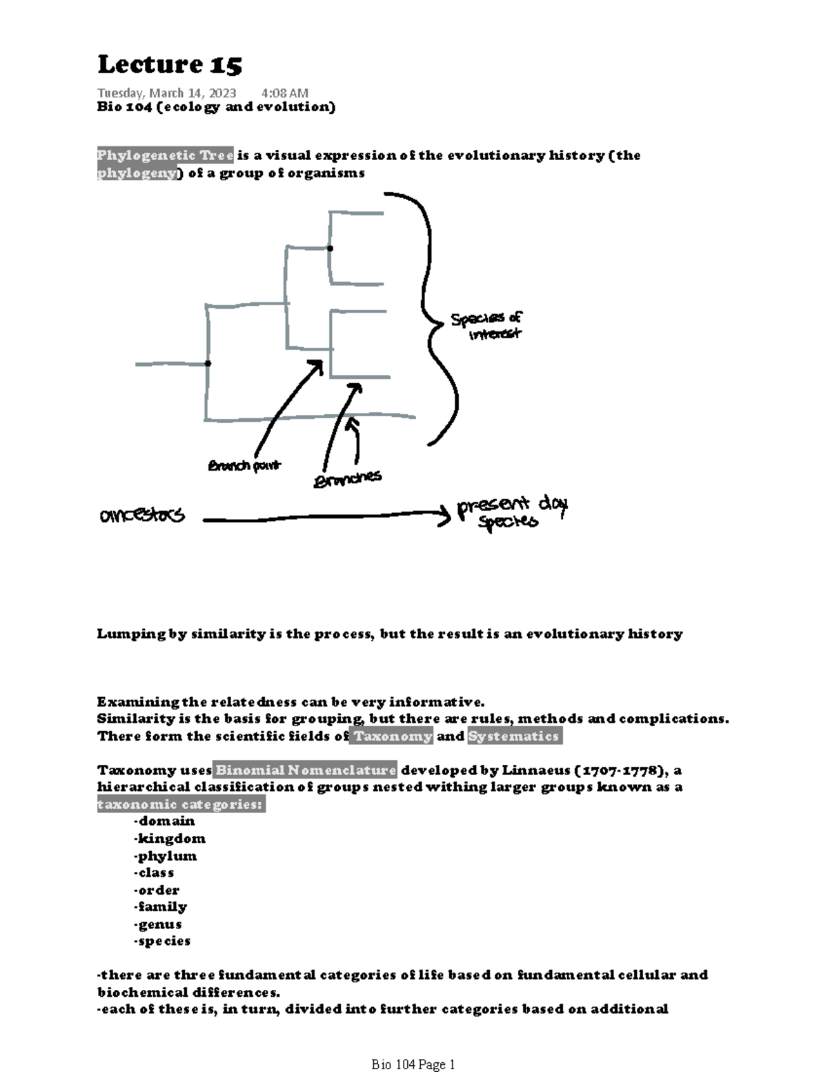 Lecture 15 - Bio 104 (ecology and evolution) Phylogenetic Tree is a visual expression of the ...
