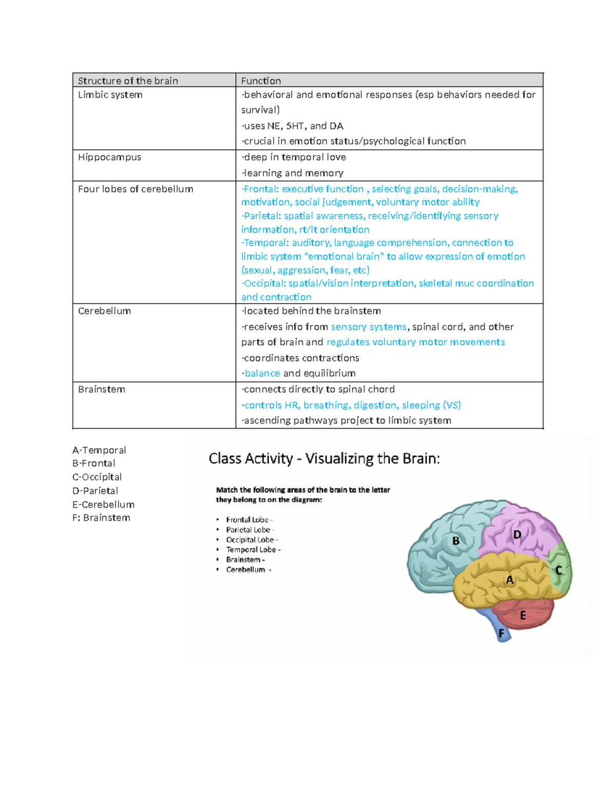 NT, meds, structures - Structure of the brain Function Limbic system ...