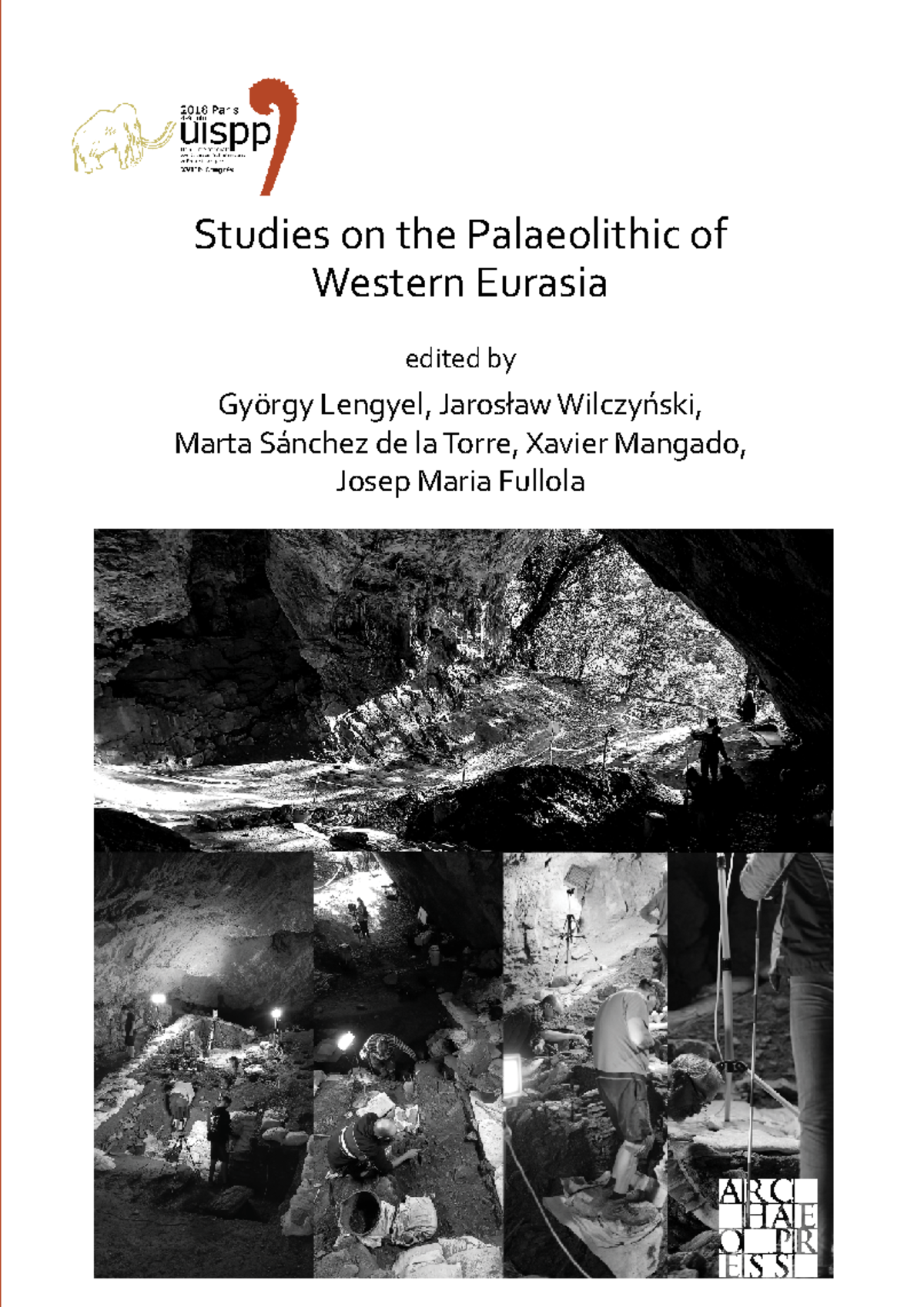 Zooarchaeological analyzes of the faunal - Studies on the Palaeolithic ...