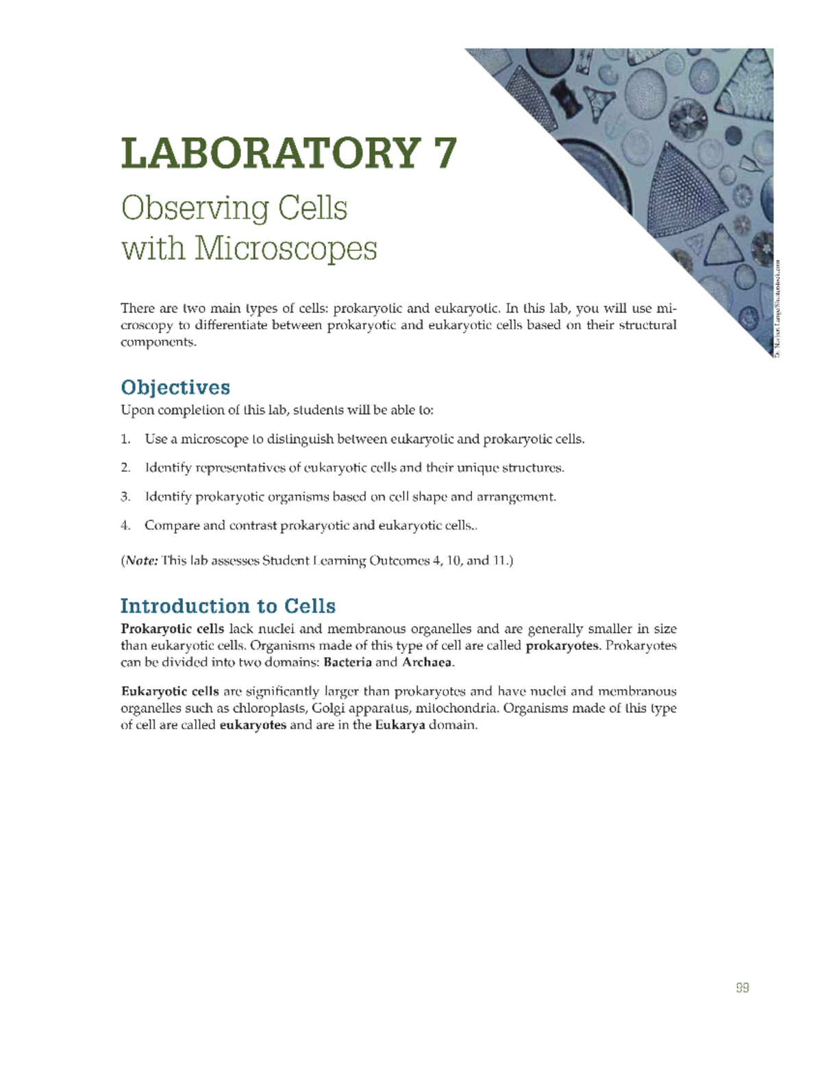 PDF Lab 7 1406 - Professor Johnson Lab 7 - BIOL 1406 - Blinn College ...