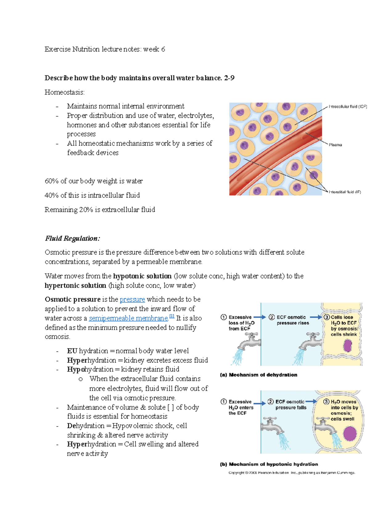 Exercise nutrition lec notes week 6 - Exercise Nutrition lecture notes ...