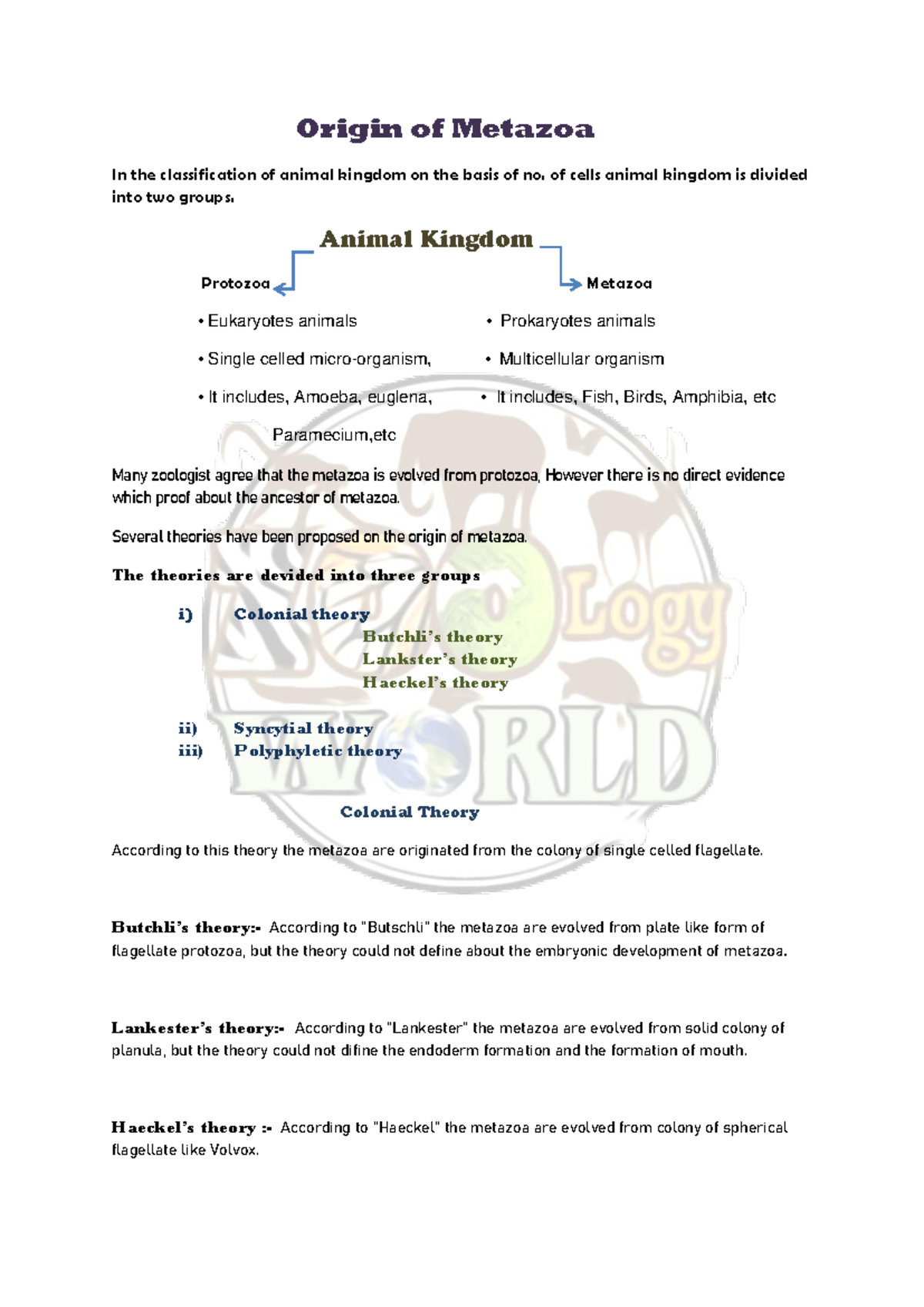 Origin of Metazoa@@ - Read and write - Origin of Metazoa In the ...