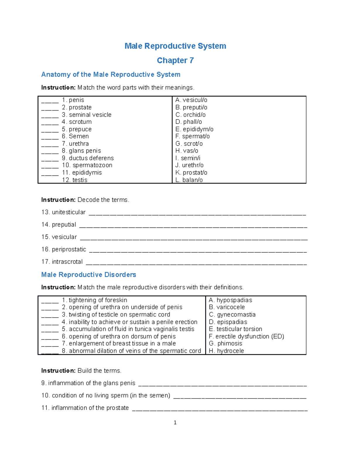 AHP105 Wk6 Assignment copy - Male Reproductive System Chapter 7 Anatomy ...
