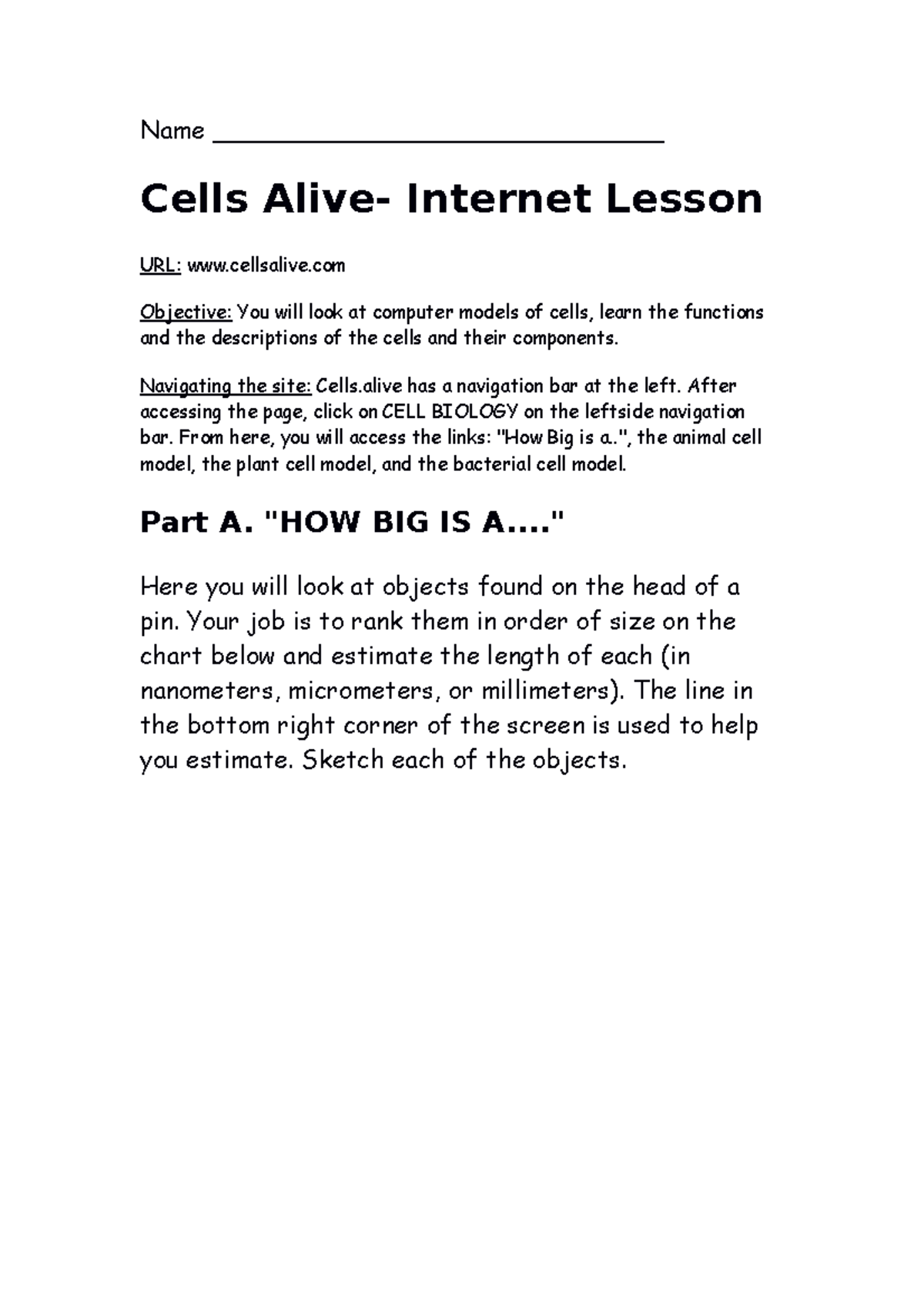 Cells Alive- Internet Lesson - Name _____________________________ Cells ...