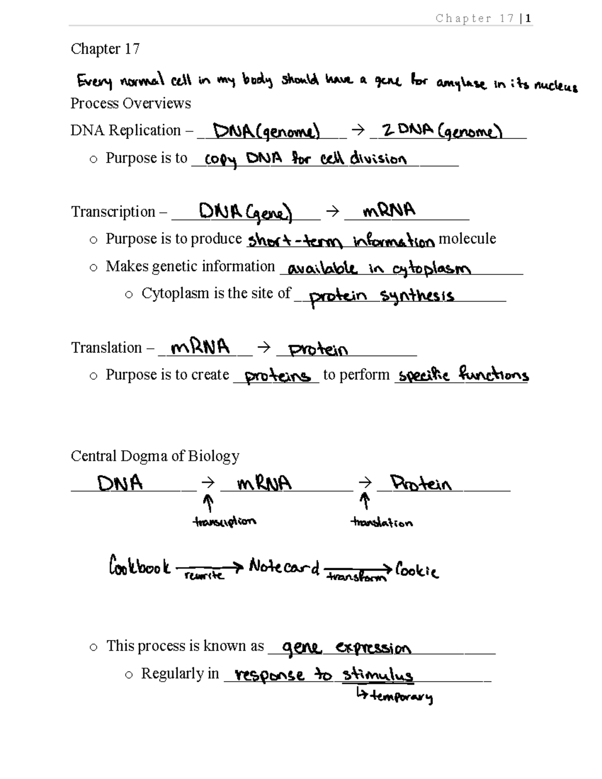 Chapter 17 Notes - Chapter 17 Process Overviews DNA Replication ...