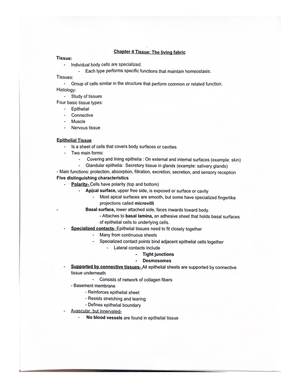 Chapter 3: Cells: Living unit - BIOL-2401 - Studocu