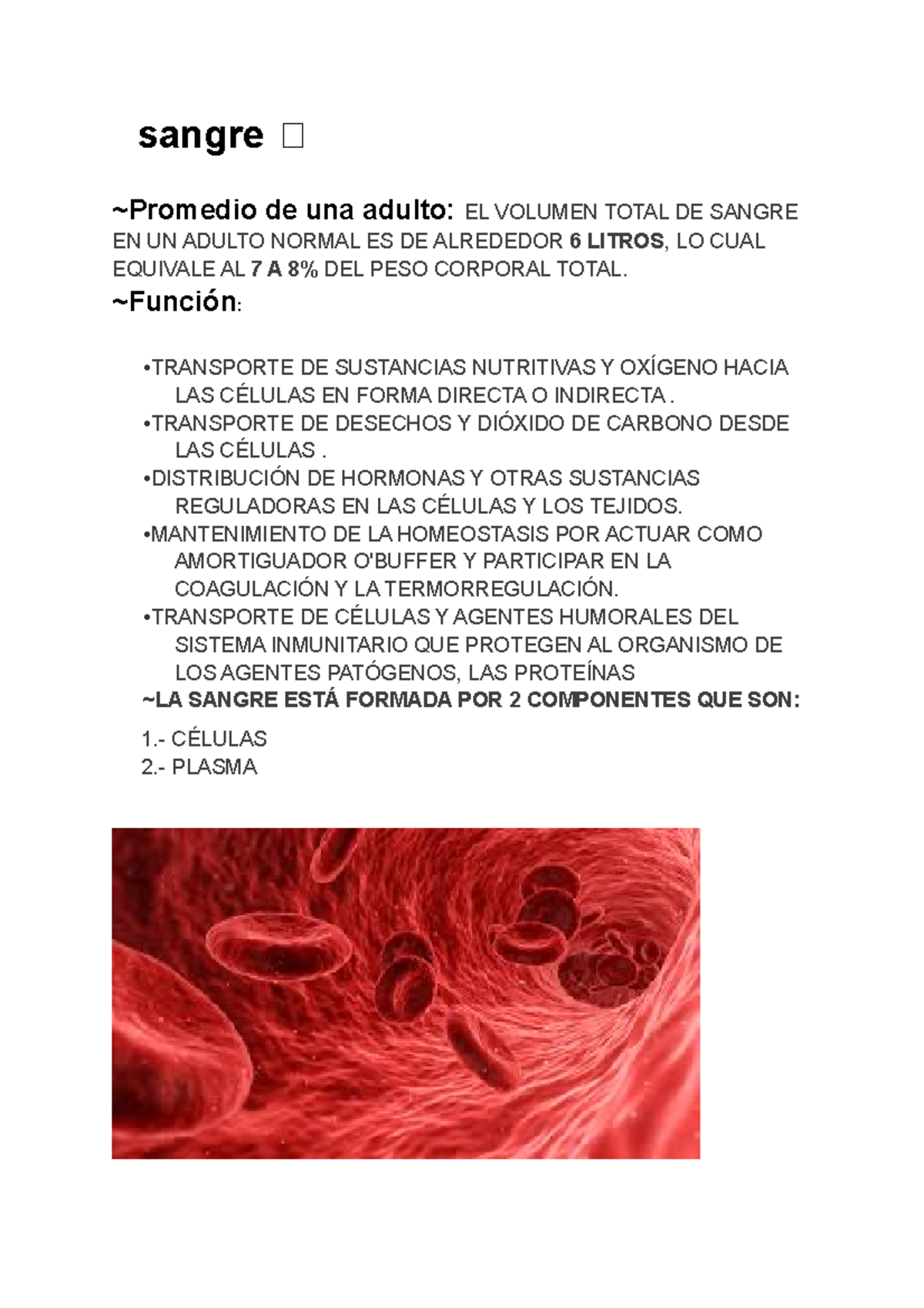 Exposición - Nhjcvv - sangre 🠀 ~Promedio de una adulto: EL VOLUMEN ...