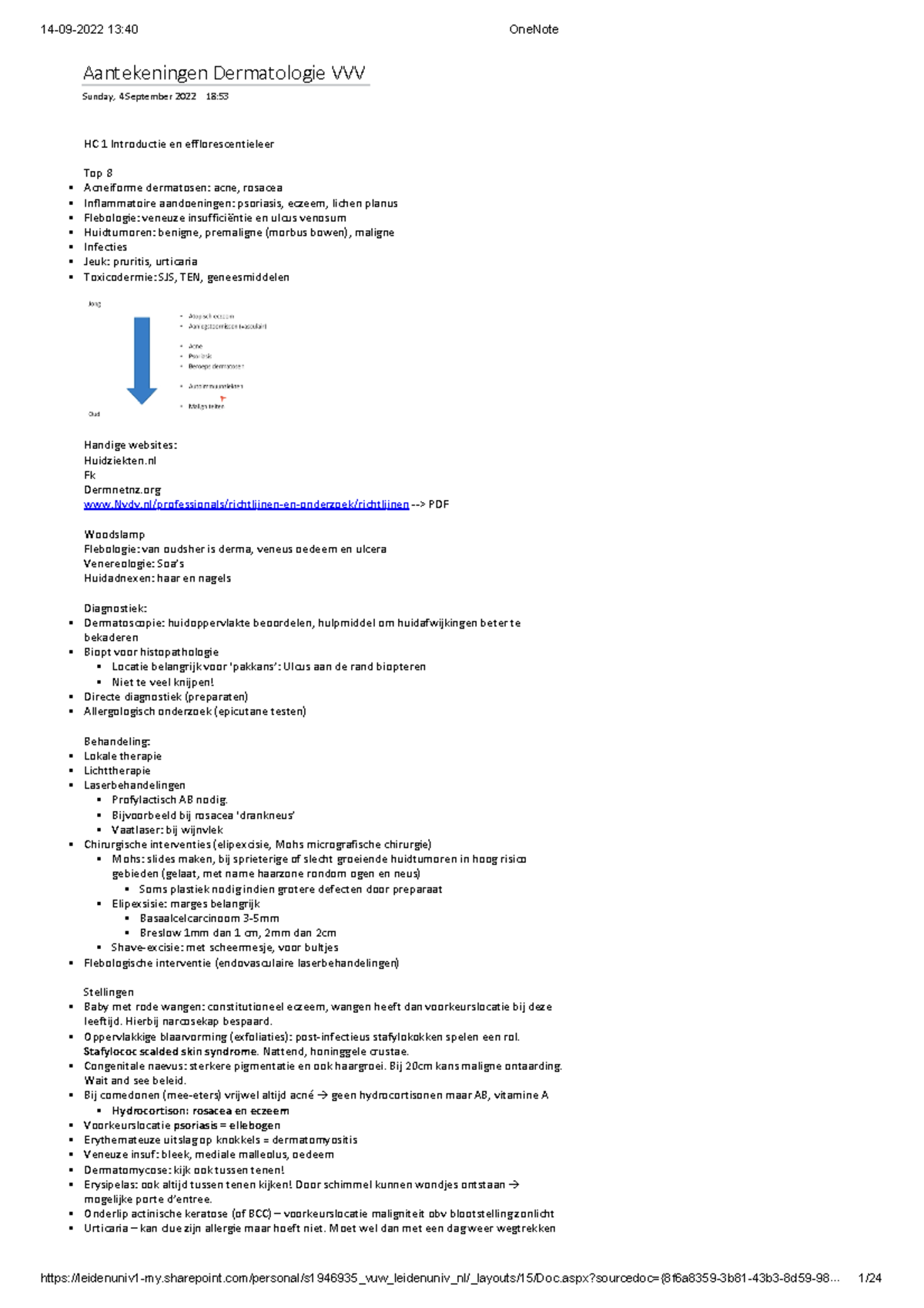 Aantekeningen Dermatologie - Bijvoorbeeld bij rosacea ‘drankneus’ Vaatlaser: bij wijnvlek ...