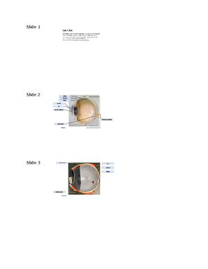 Lab digestive system - Visible body lab - A. Digestive System Overview ...