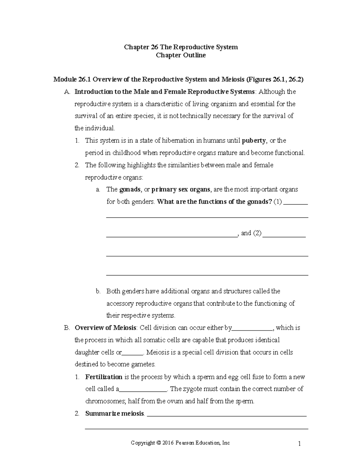 Ch 26 student lecture outlines-students - Chapter 26 The Reproductive ...