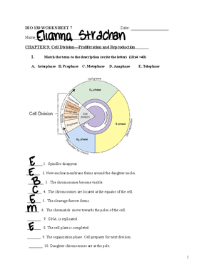Mod 4 BIO 130 Work sheet 5 cell structure and function 2020 krc (3) (2 ...