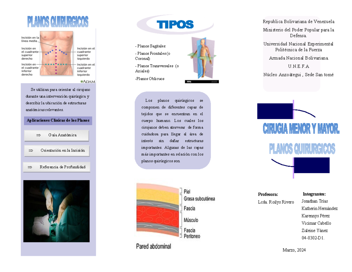 Folle 6 - PLANOS QUIRÚRGICOS - Se utilizan para orientar al cirujano durante una intervención ...
