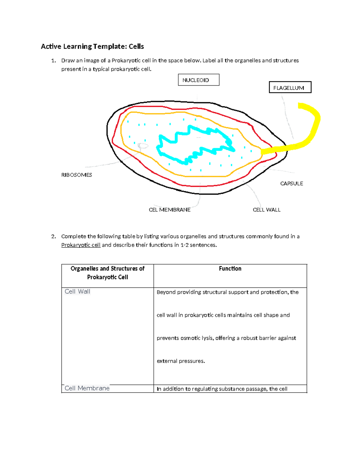 BIOS242OX WK 2 Cells ALT Alton v2 - Active Learning Template: Cells 1 ...