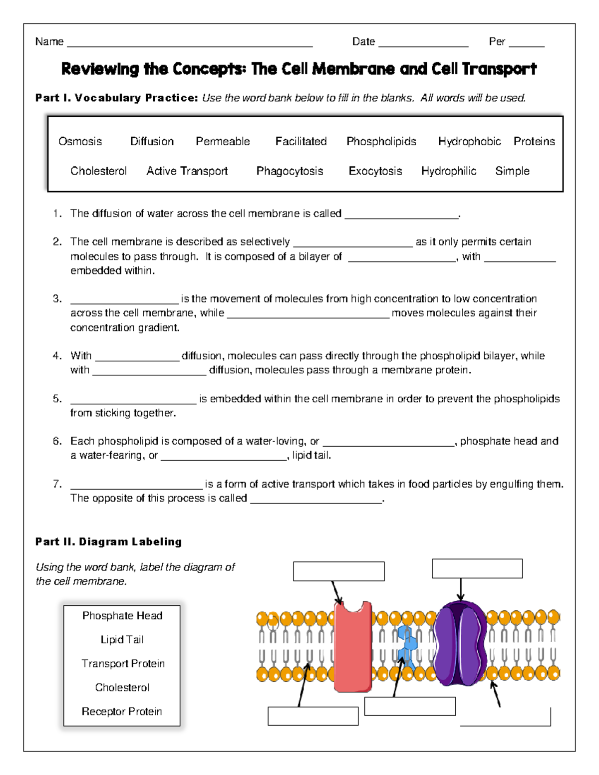 Cell Membrane Worksheet - Name ...