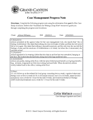 PCN255 - Practice assignment - Intake Assessment Form Directions ...