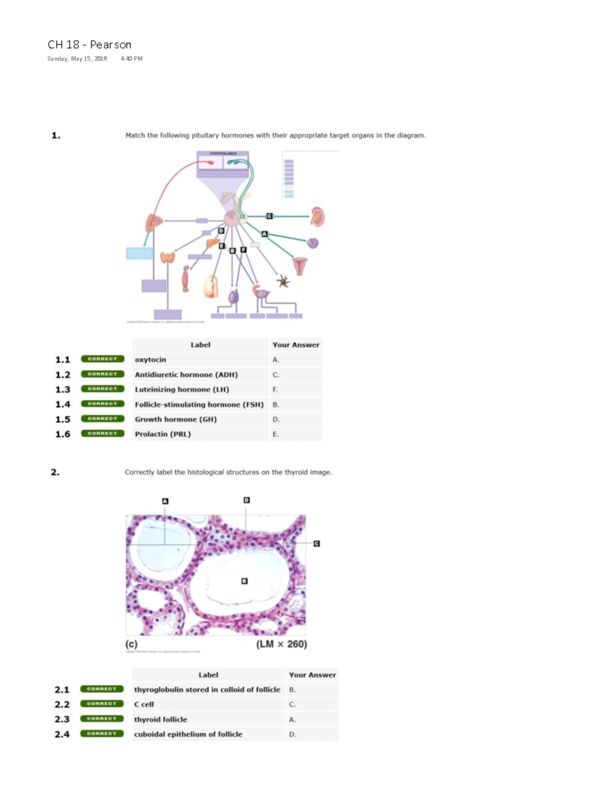 BIOL 2452 - CH 18 - The Endocrine System - Quiz - BIOL 2452K - Warning ...