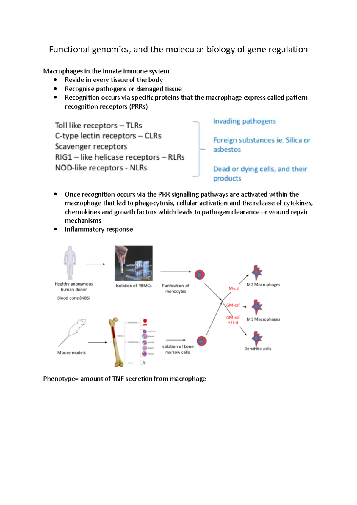 Functional genomics - Pre-initiation 2. Initiation 3. Elongation 4. Termination We can perform ...