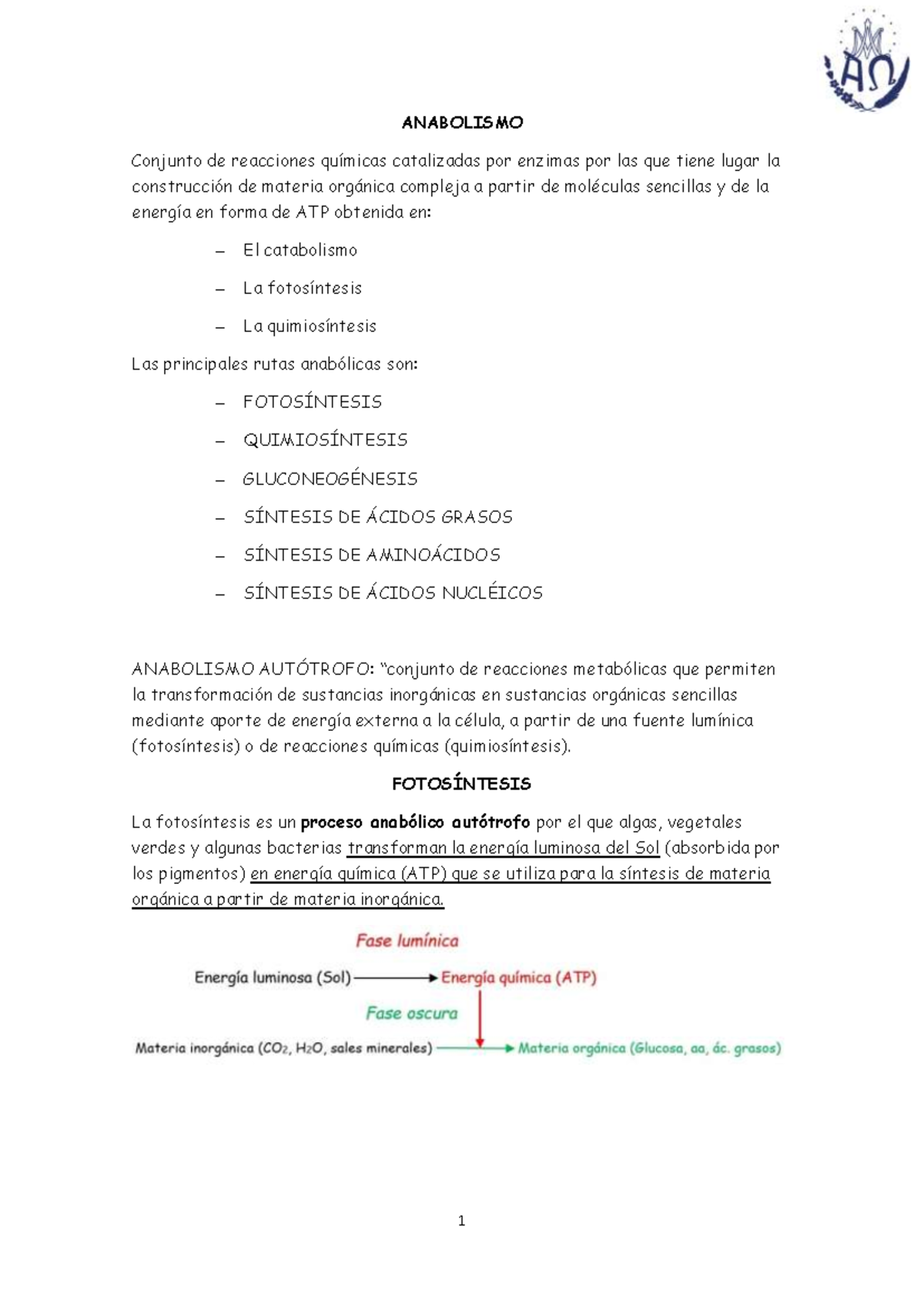 Metabolismo- Anabolismo 0708099 e5c78caa4371a6f0561f7def4 - ANABOLISMO ...