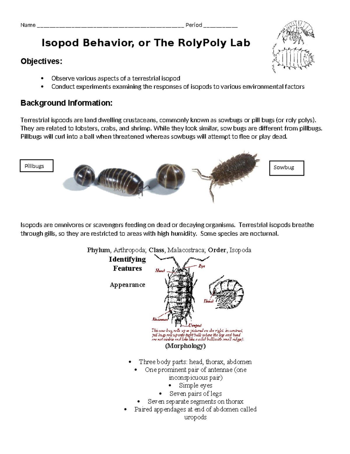 Isopod Lab 2015 - Practice - Name ...