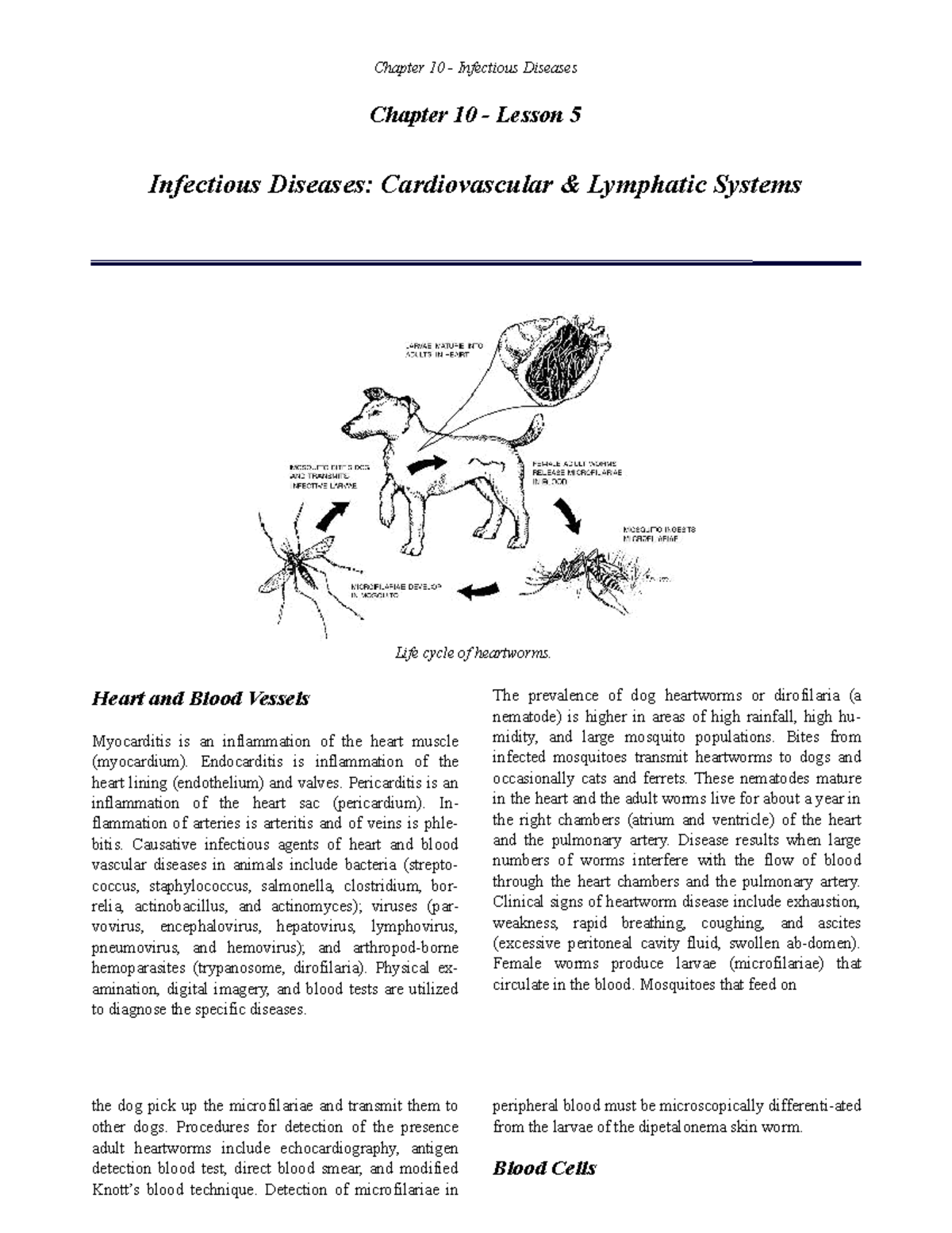 Ch10-05 Infectious Diseases Cardiovascular Lymphatic Systems - Chapter ...