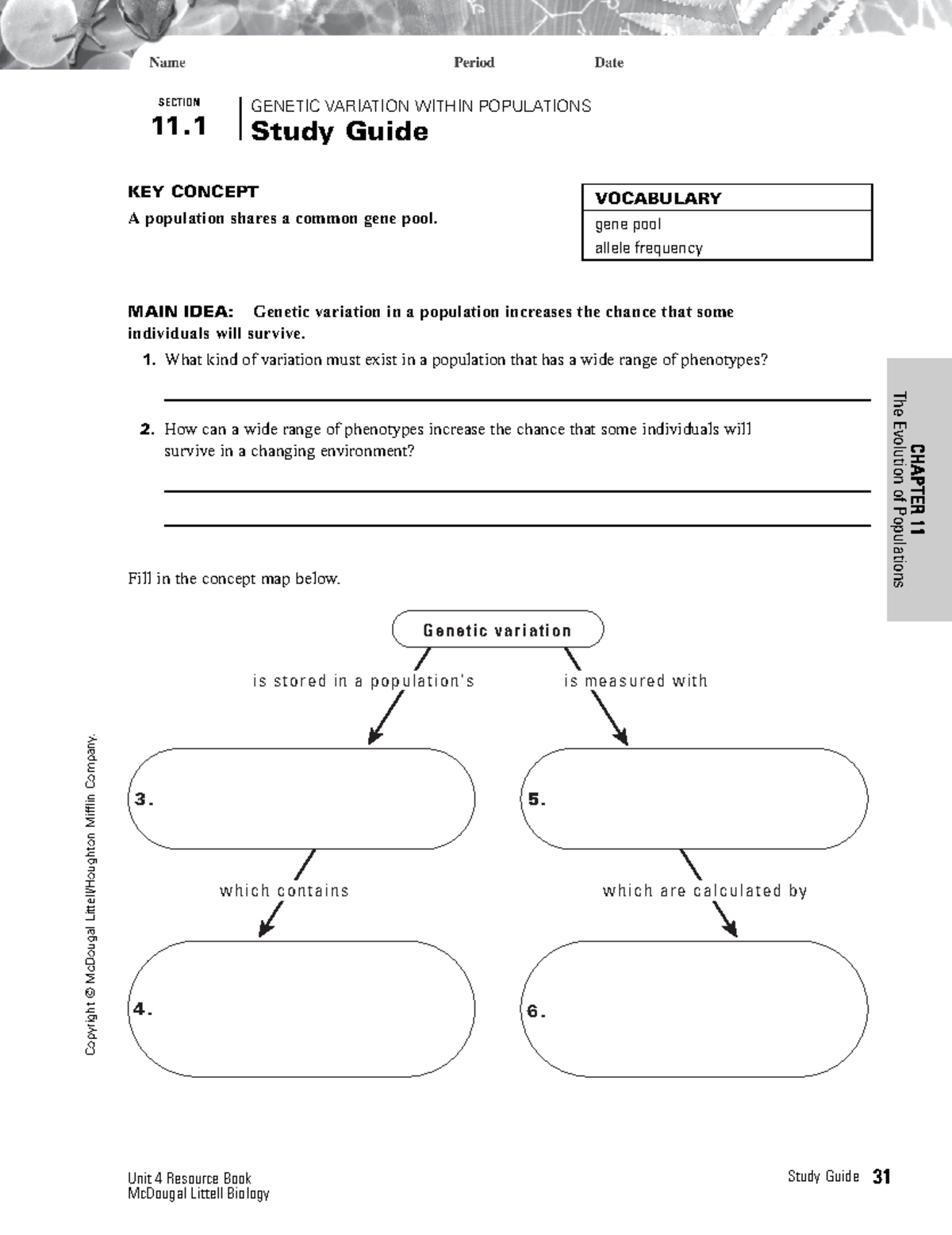 Population+Genetics+Worksheet - SECTION 11. GENETIC VARIATION WITHIN ...