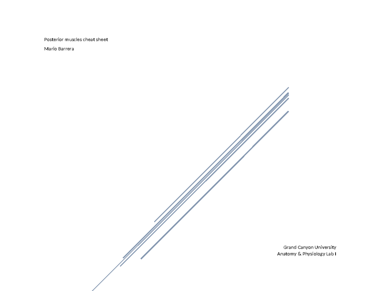 Wk11-3Posterior Muscles OIA Cheat Sheet (Short) - Grand Canyon ...
