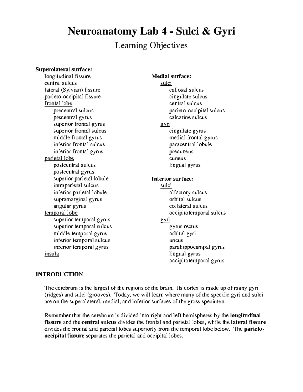 Lab 4 Objectives - neuroanatomy study guide - Neuroanatomy Lab 4 ...
