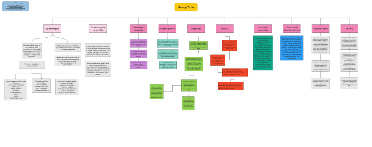 Mapa conceptual Timo y Bazo - Patología General y Sistémica. - Studocu