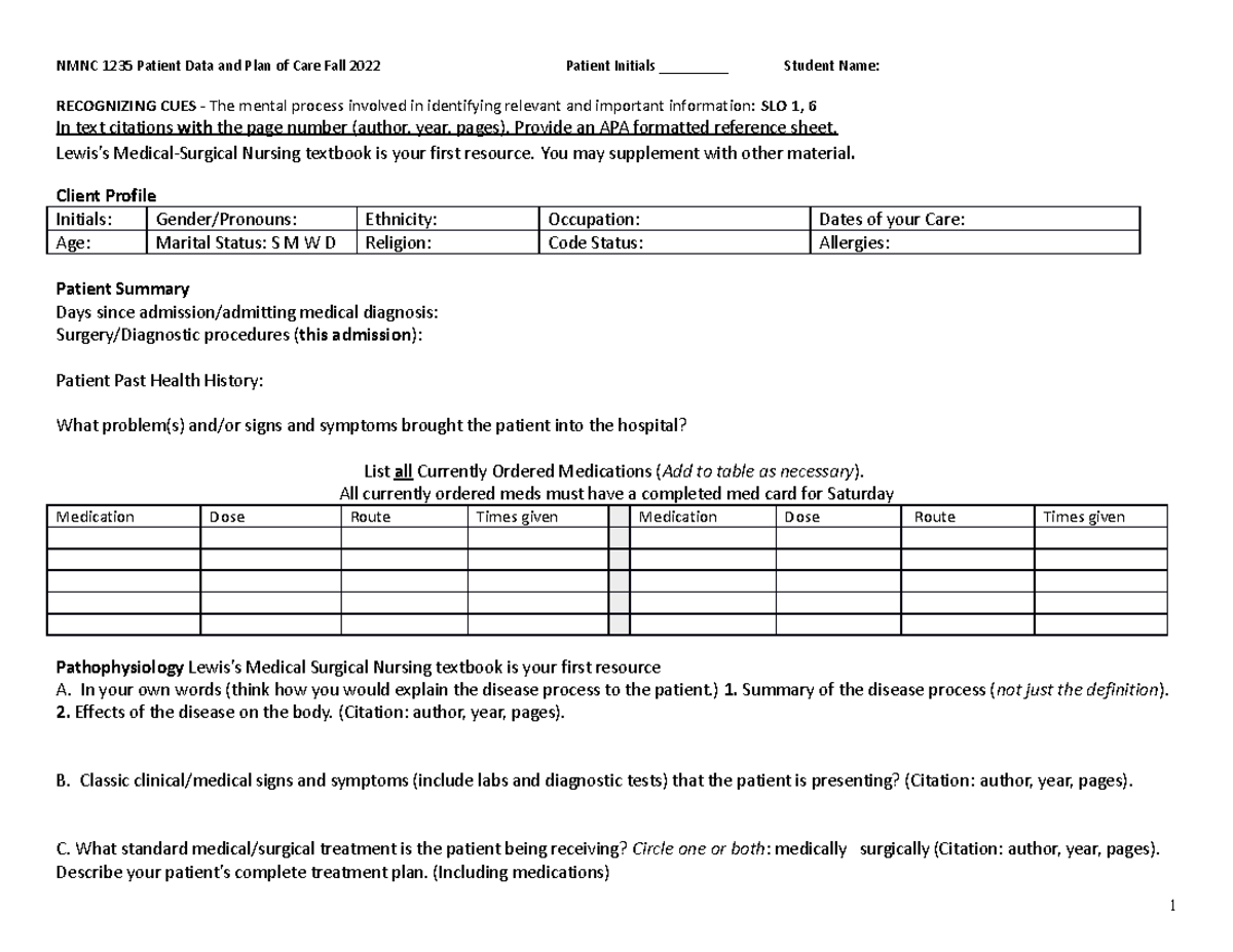 NMNC 1235 Care Plan Example Template - RECOGNIZING CUES - The mental ...
