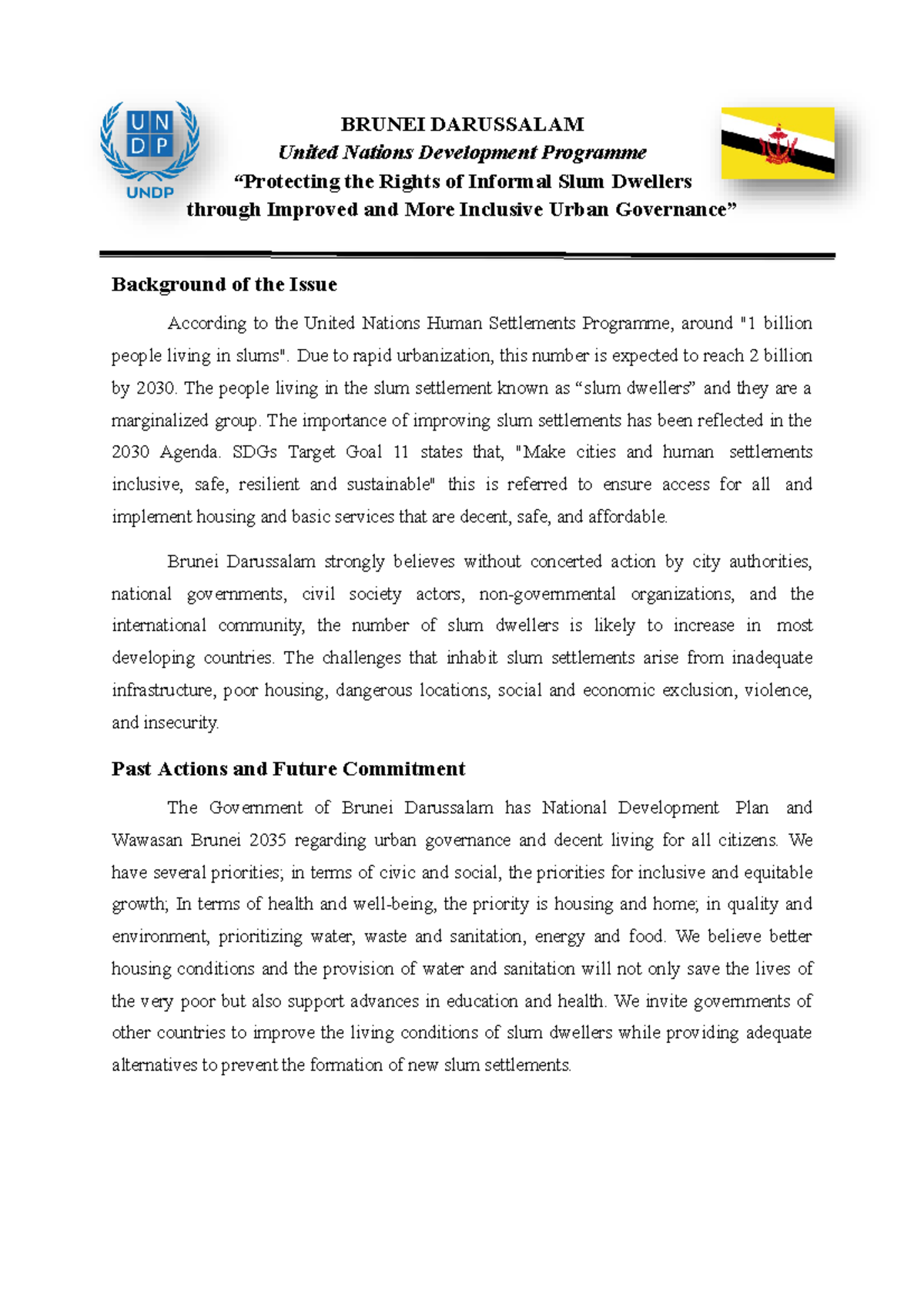 Position Paper - Brunei Darussalam, UNDP, Protecting the Rights of ...