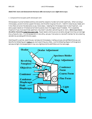 Digestive system - Nutrition 101 - ####### A service provided to ...