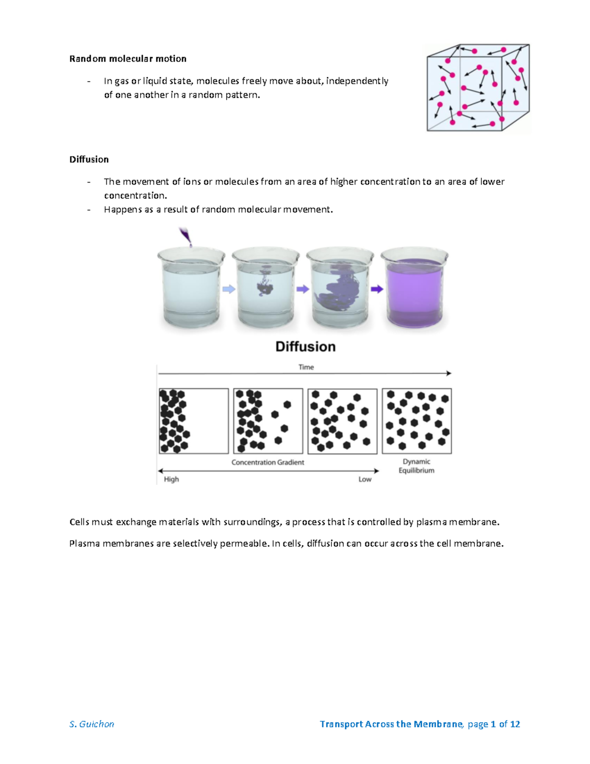 Transport Across the Cell Membrane - Notes(1) copy - Random molecular ...