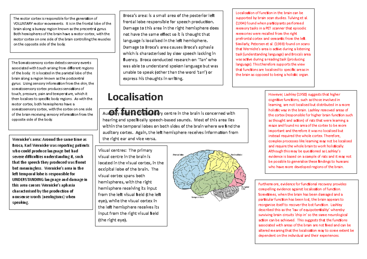 Localisation of function mindmap - Furthermore, evidence for functional ...
