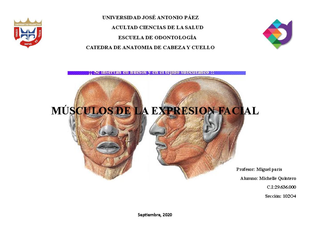 Músculos de la expresión facial - UNIVERSIDAD JOSÉ ANTONIO PÁEZ ACULTAD ...