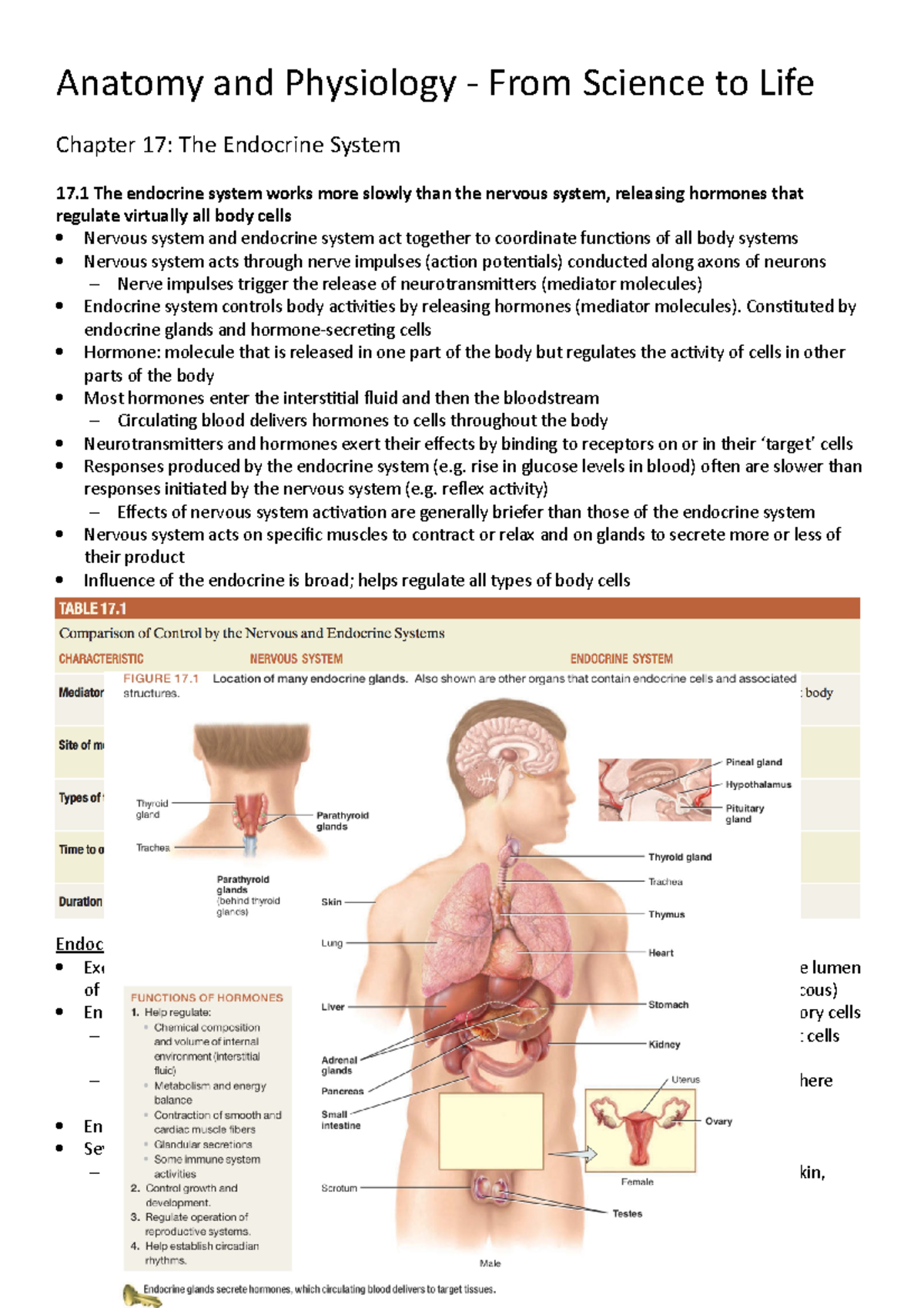 BMSC11002 chap 17 - summary of chapter 17 on the endocrine system of ...