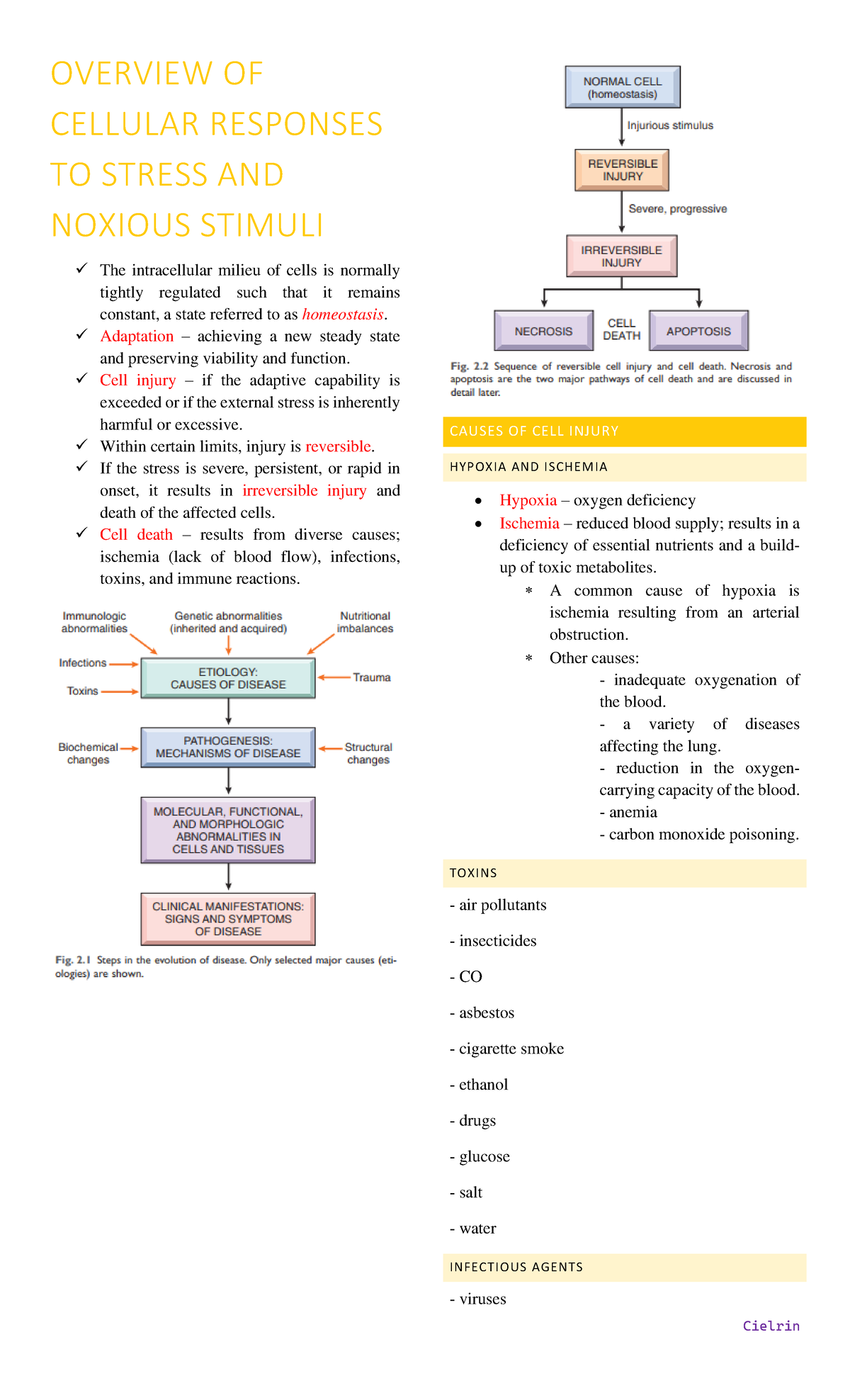 Histo Path - Overview of cellular responses to stress and noxious ...