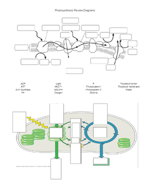 AP Biology Fall Semester Review Unit 4 Cellular Communication & Cell ...