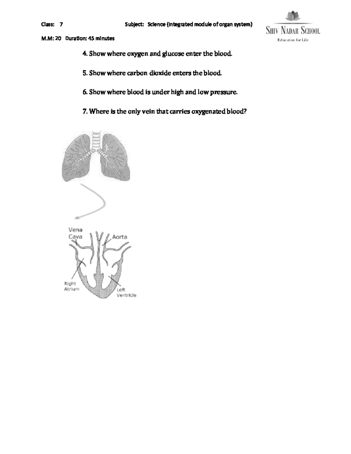 FA - Integrated module of Organ System - Biology SL - Class: 7 Subject ...