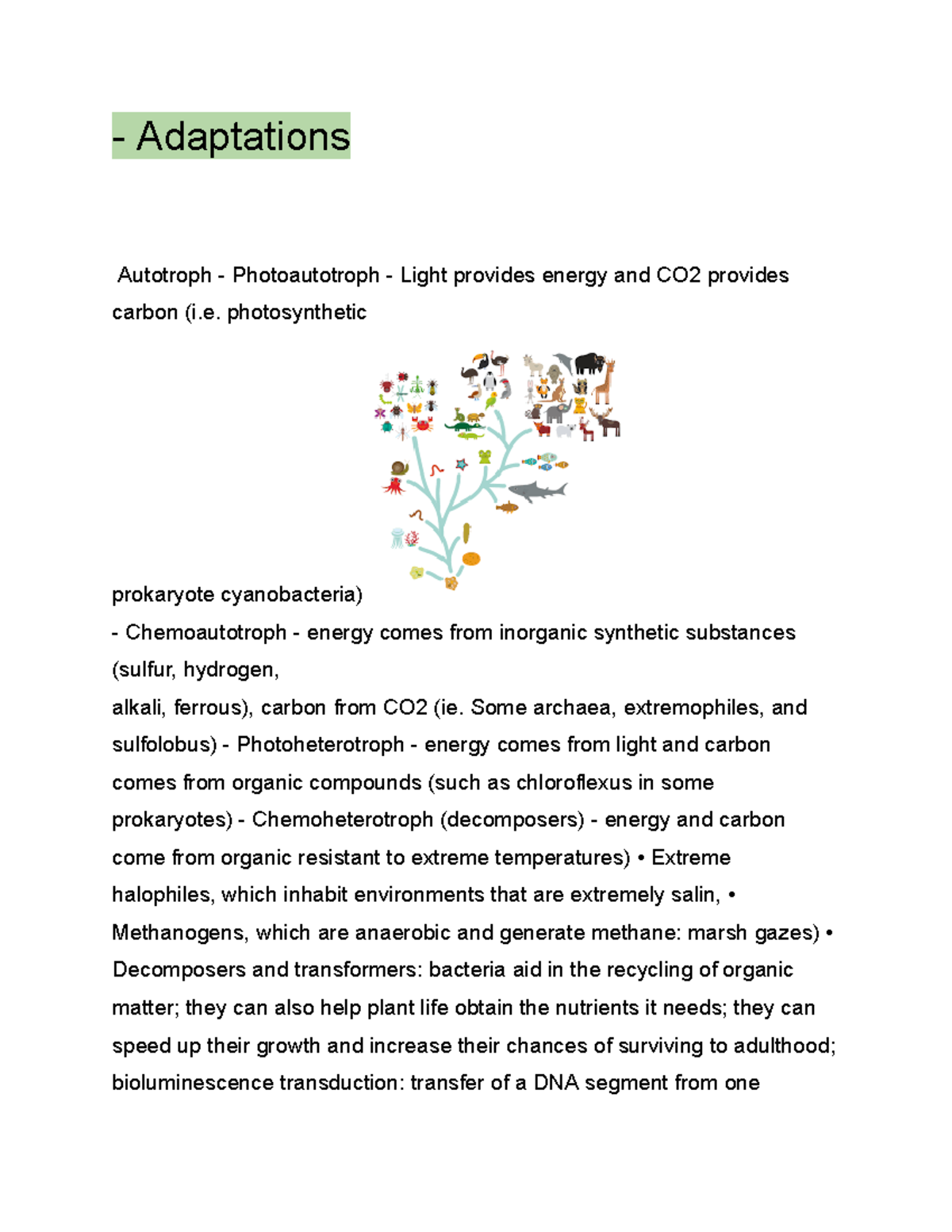 Adaptations - Adaptations Autotroph - Photoautotroph - Light provides ...