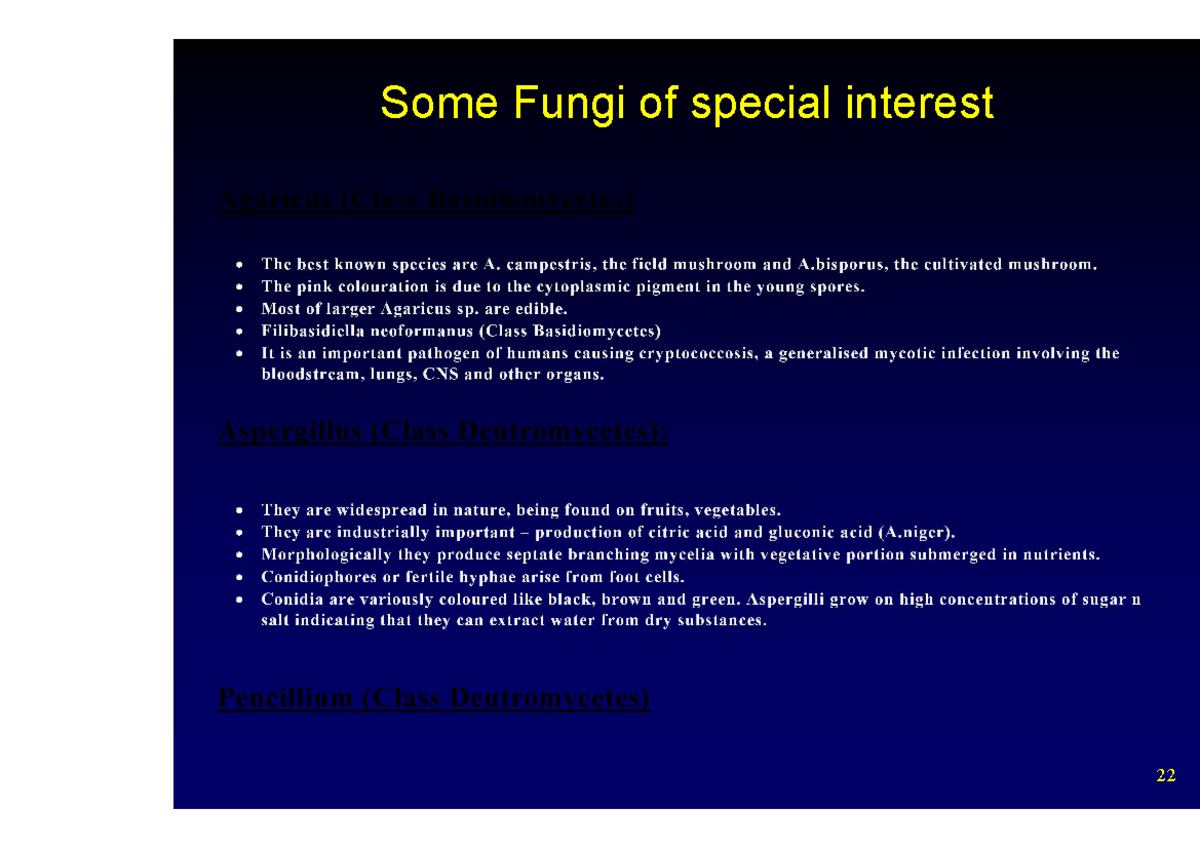 Fungi of spl interest part 2 - Agaricus (Class Basidiomycetes) The best ...