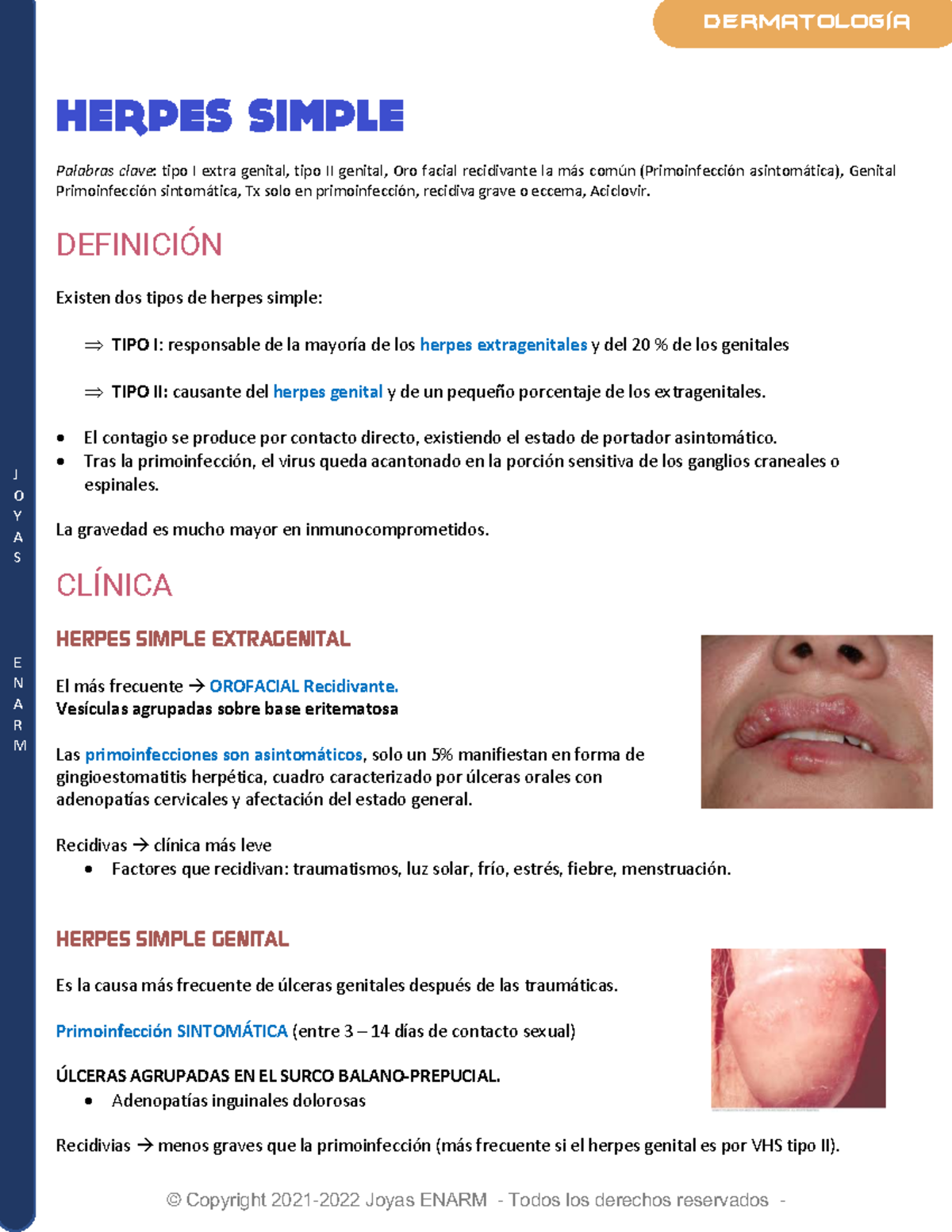Herpes Simple resumen - © Copyright 2021-2022 Joyas ENARM - Todos los derechos reservados ...