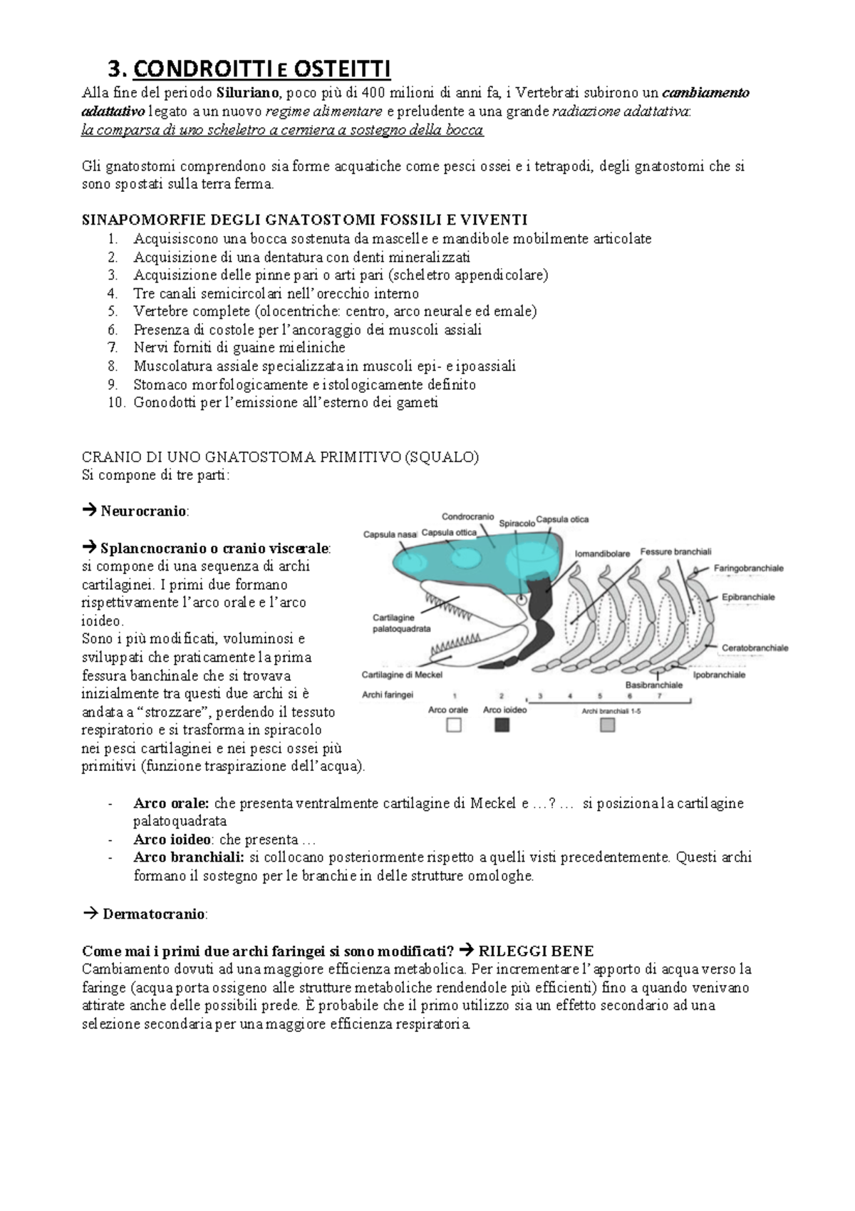 Anatomia Comparata 3 - Appunti - 3. CONDROITTI E OSTEITTI Alla fine del ...