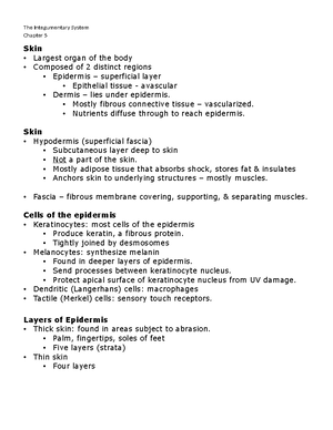 Root Words - review - Human Anatomy & Physiology: Latin and Greek Word ...