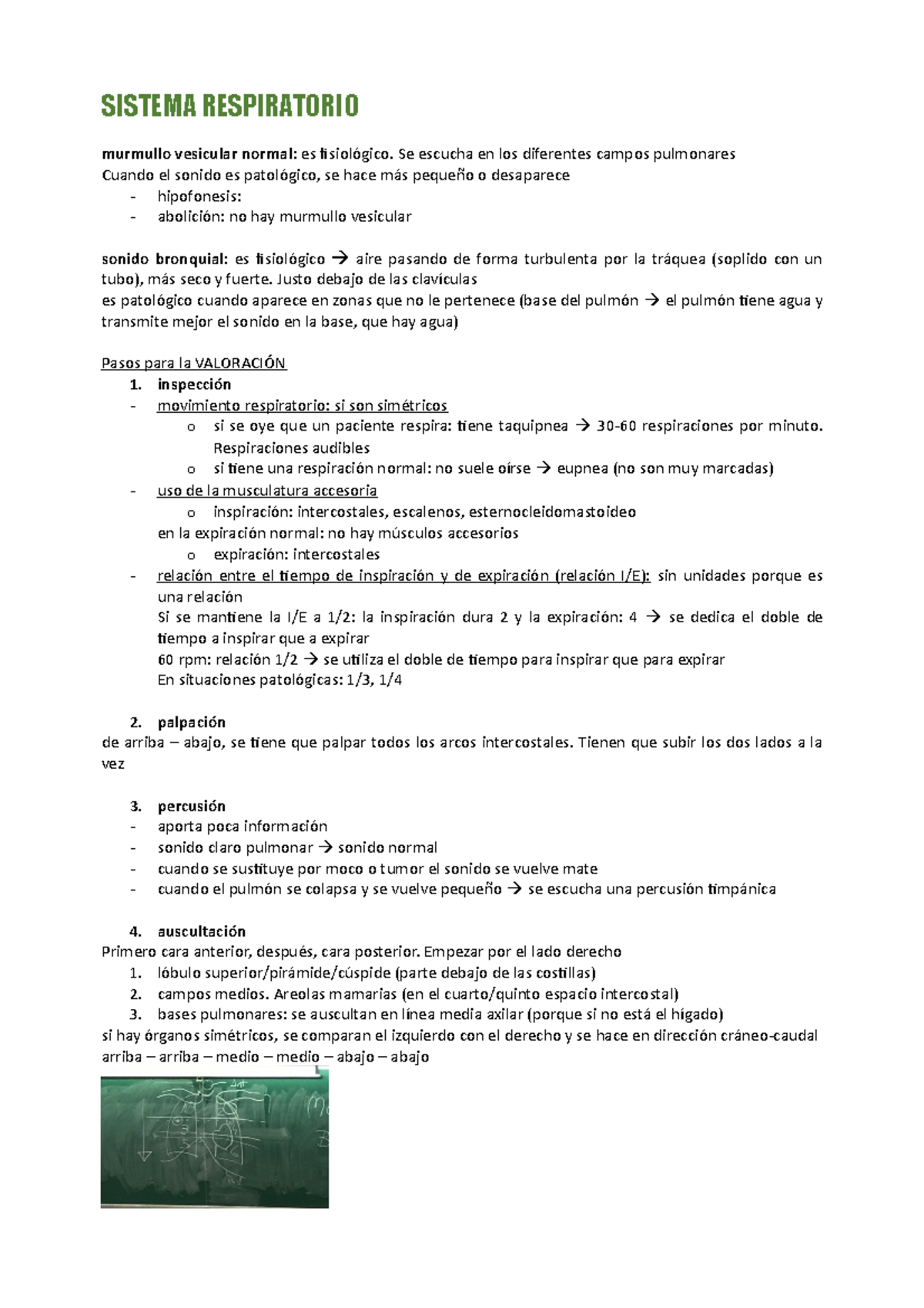 Aparato Respiratorio - fisiopatologia - SISTEMA RESPIRATORIO murmullo ...