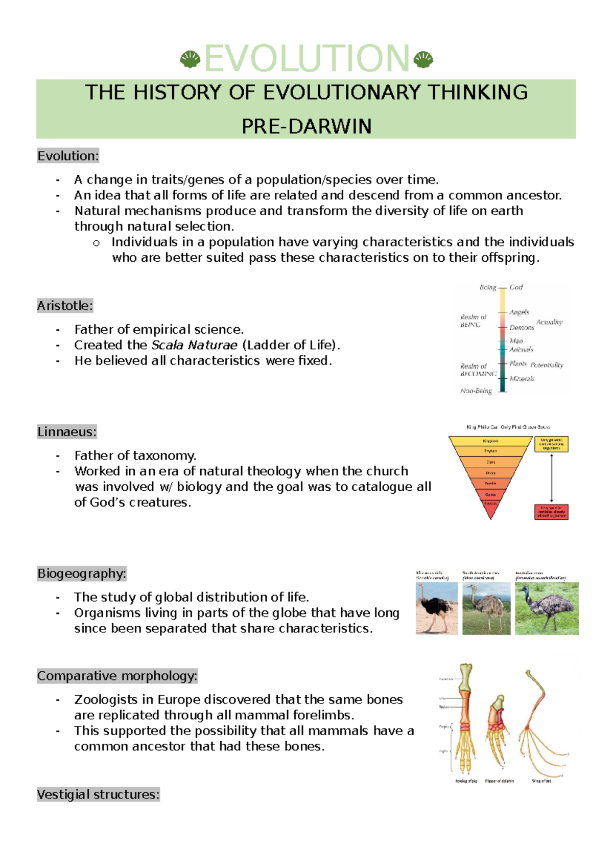 Bio124 - Evolution Notes - EVOLUTION THE HISTORY OF EVOLUTIONARY ...