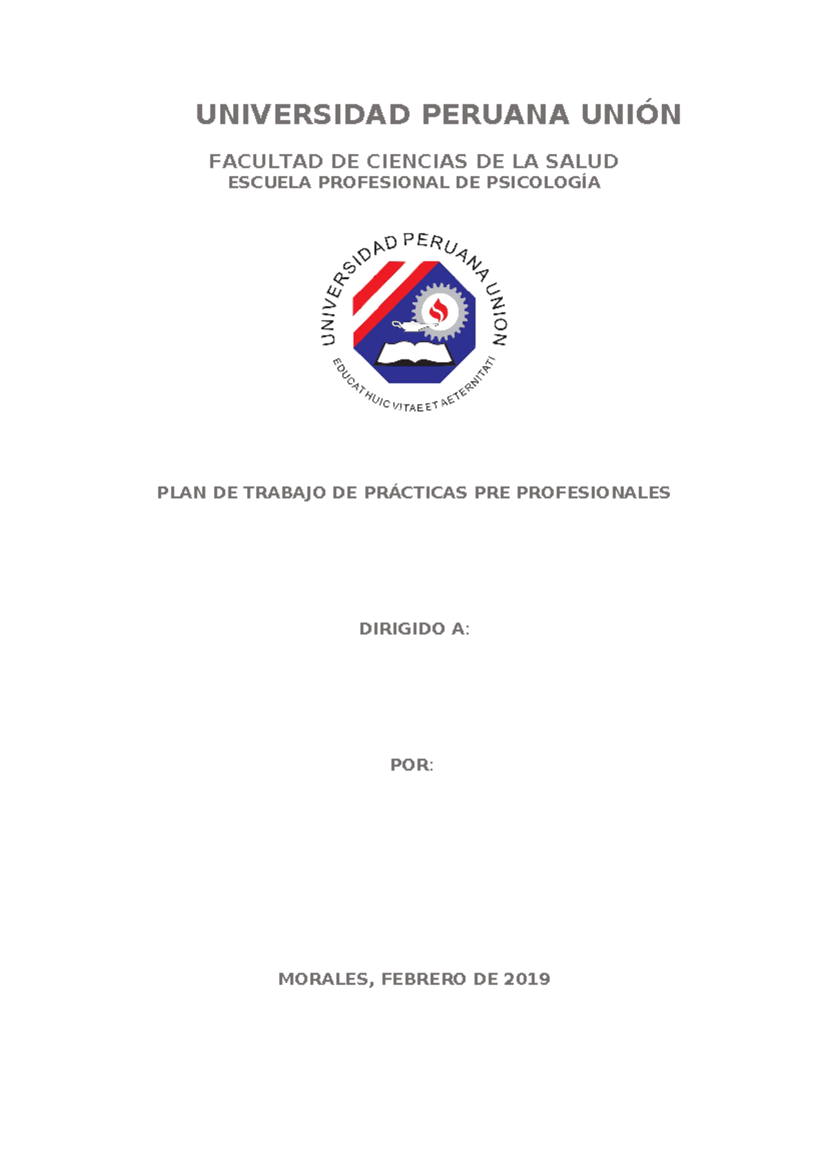 Modelo plan de trabajo sugerente - UNIVERSIDAD PERUANA UNIÓN FACULTAD ...