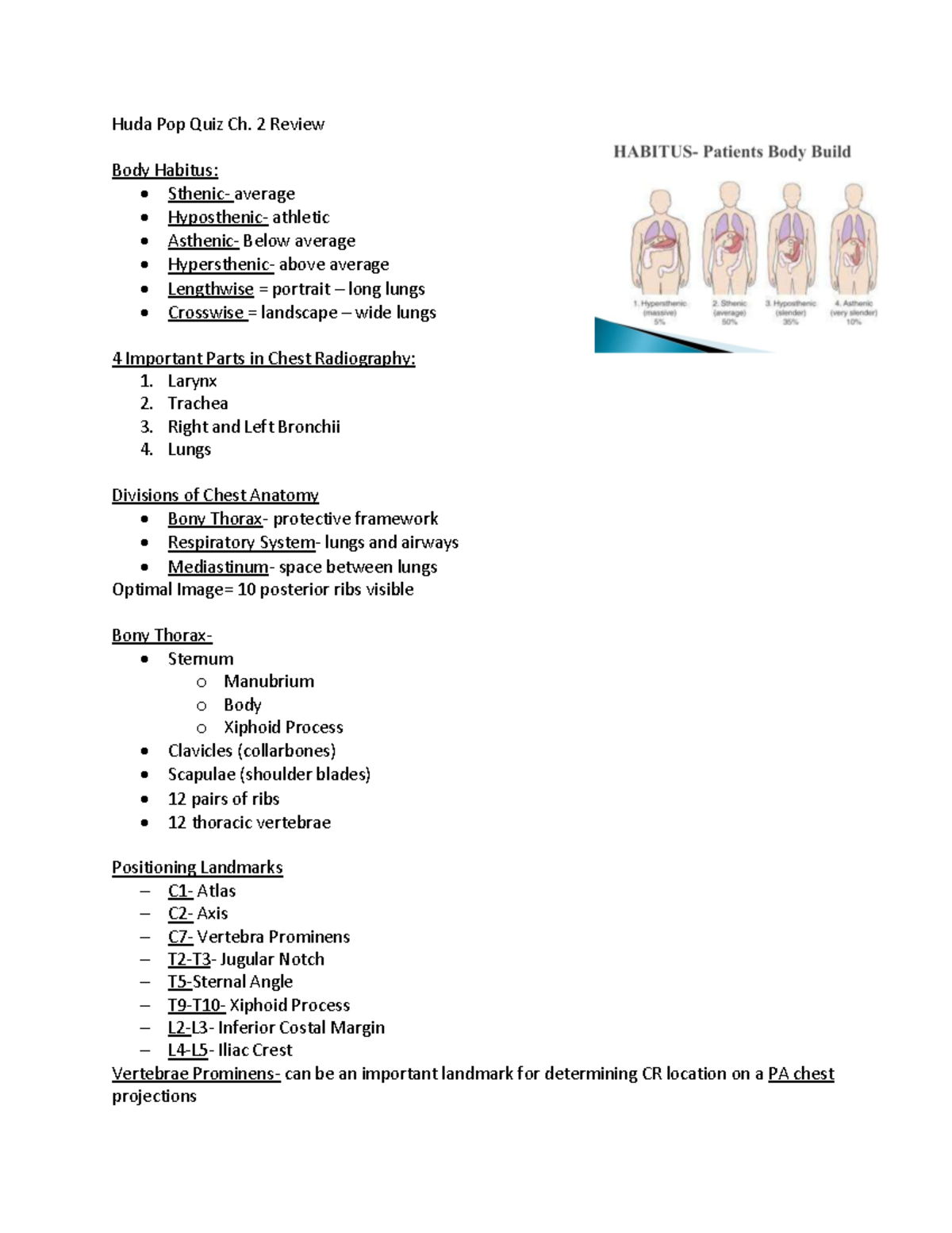Huda Pop Quiz Ch. 2 Review - Huda Pop Quiz Ch. 2 Review Body Habitus ...