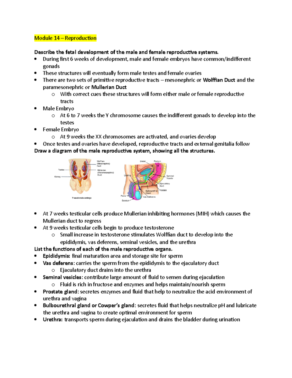 2130 Module 14 - Lecture Notes - Module 14 – Reproduction Describe the ...