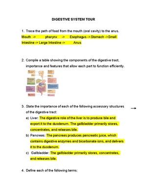 Digestive System Worksheet - Labeling Structures and Biliary System ...